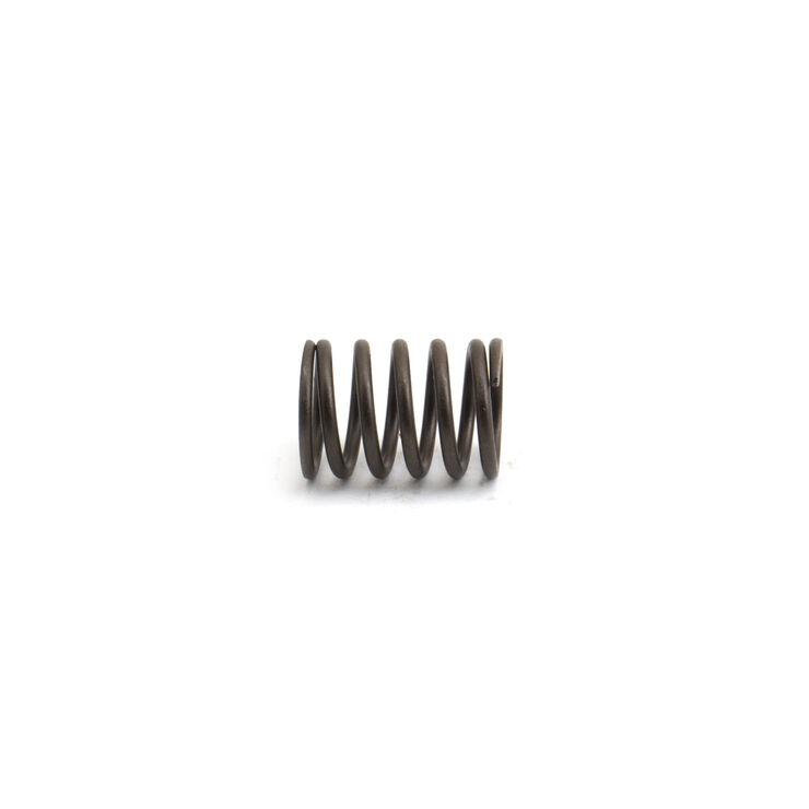 Valve Spring - BS-694865 | Troy-Bilt US