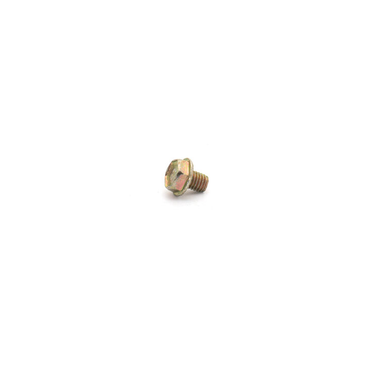 SCREW - BS-699228 | Troy-Bilt US