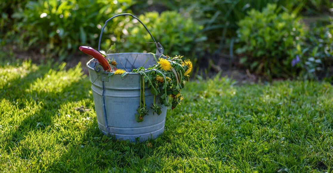 What Gardening Projects Help Relieve Stress? | Troy-Bilt US