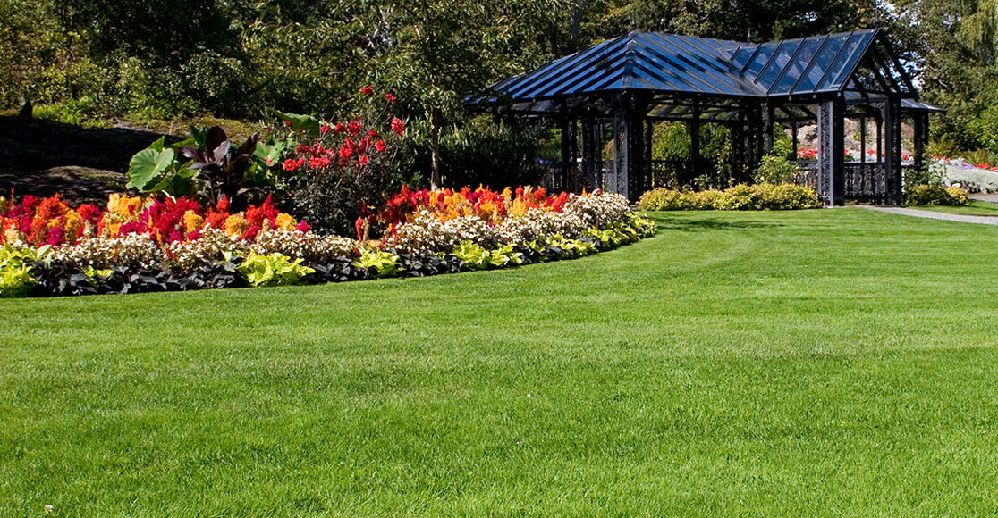 Six Tips to Achieve a Perfect Lawn | Troy-Bilt | Troy-Bilt US